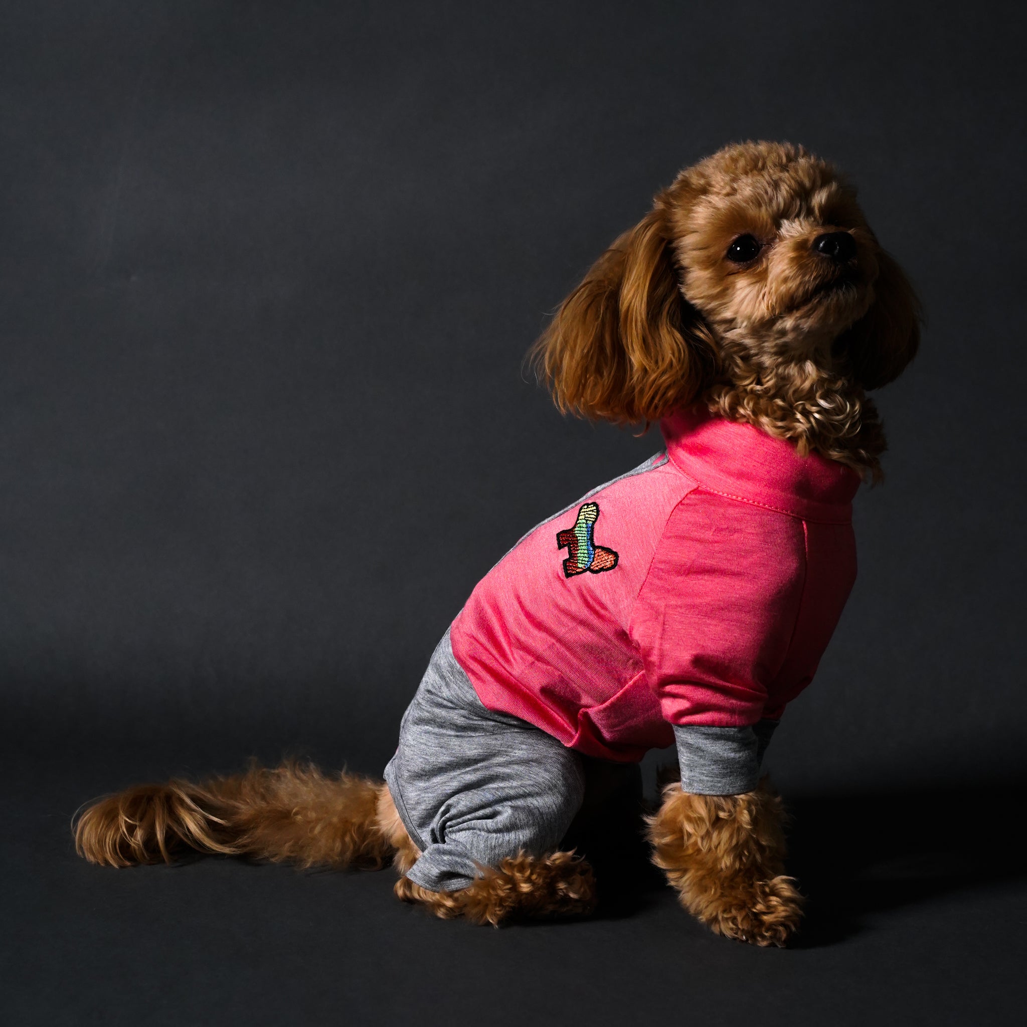 BACK_BUTTON_PINK – TOKYO WANG